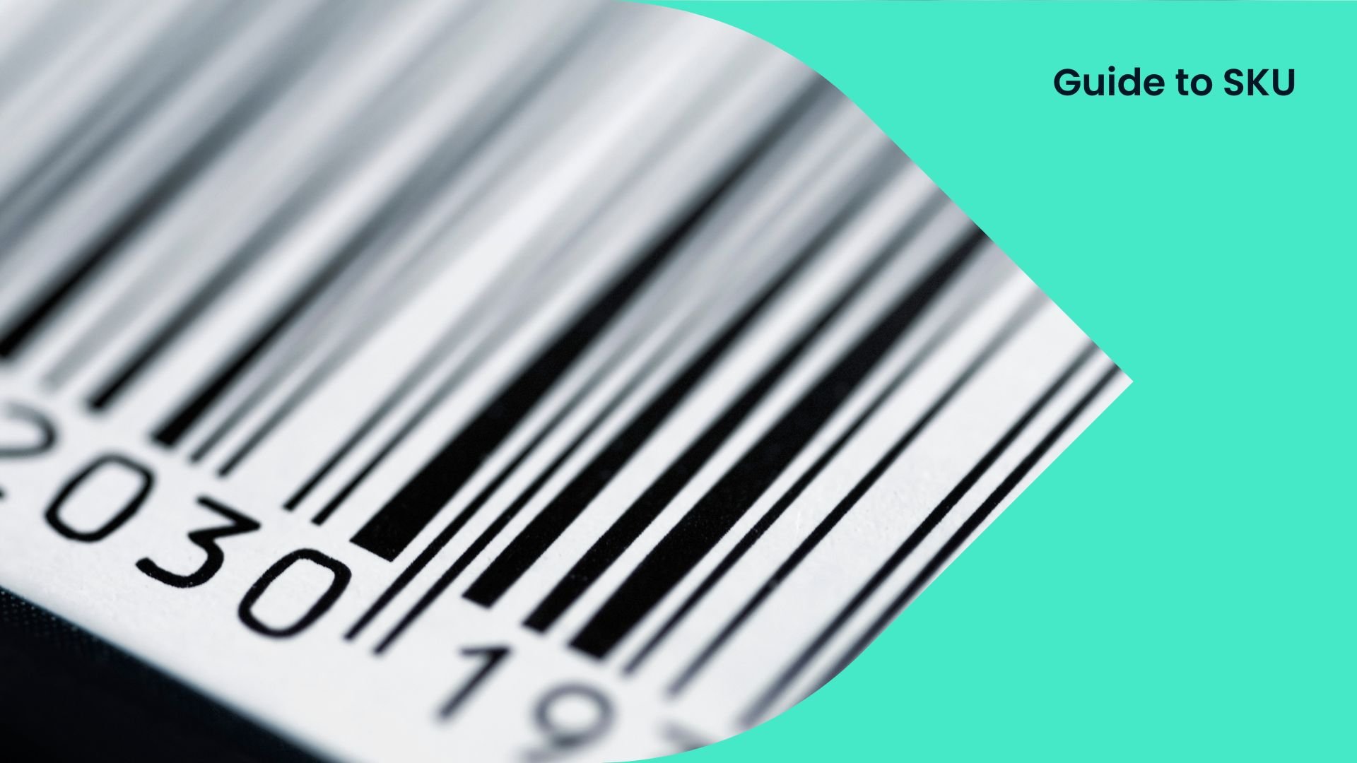 Guide to SKU codes: definition, benefits and implementation