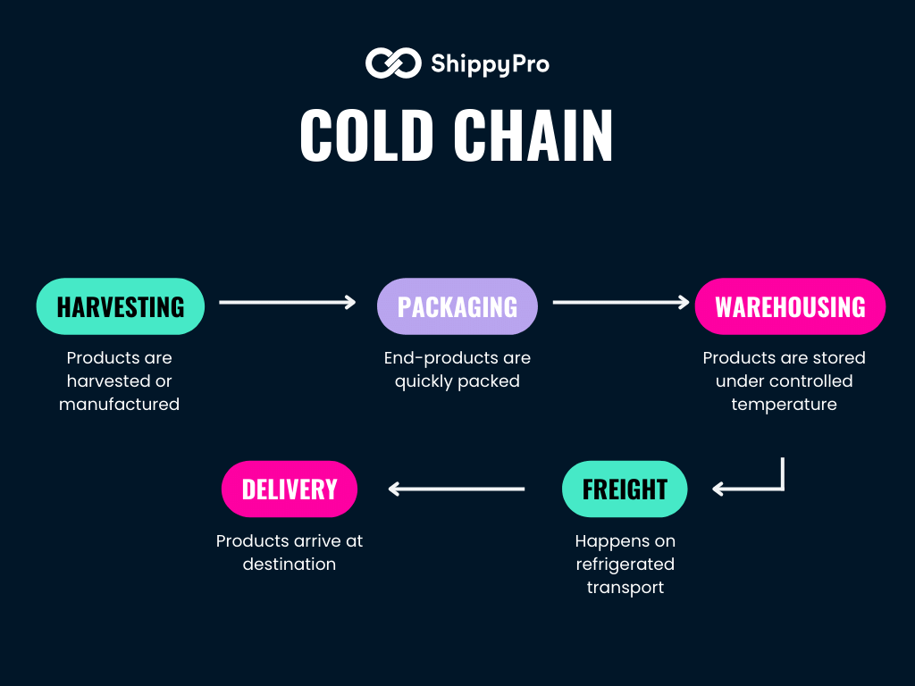 Cold chain logistics: a complete guide