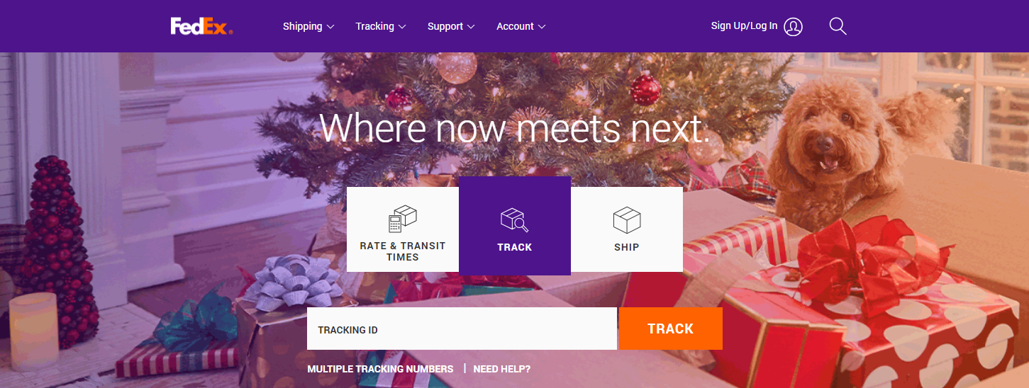 The 10 best Italian Carriers for 2024 [updated list]