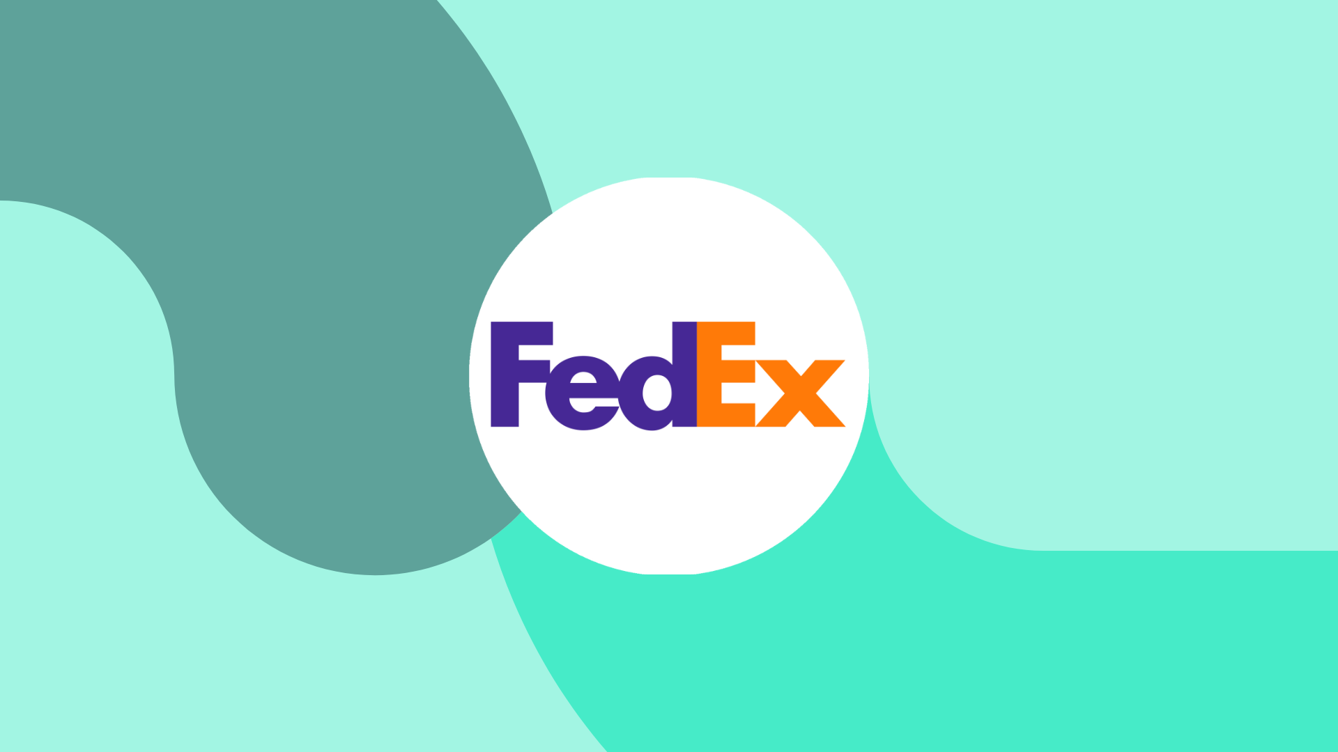 Spedizioni FedEx: costi, tempi e servizi aggiornati al 2024