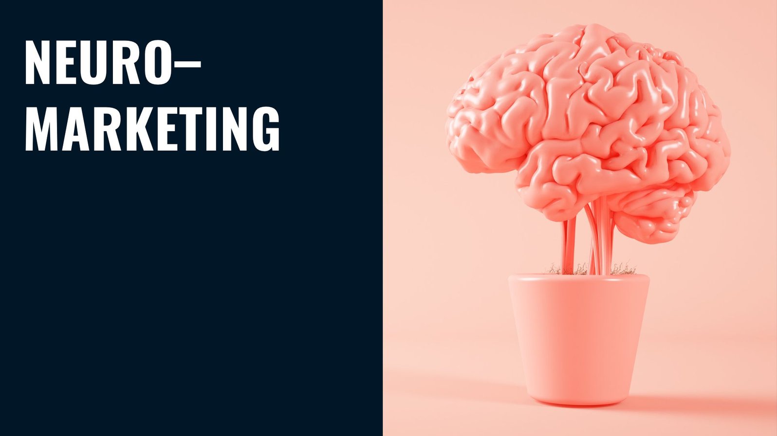 ¿Qué es el neuromarketing? 5 estrategias y 5 ejemplos para aplicarlo